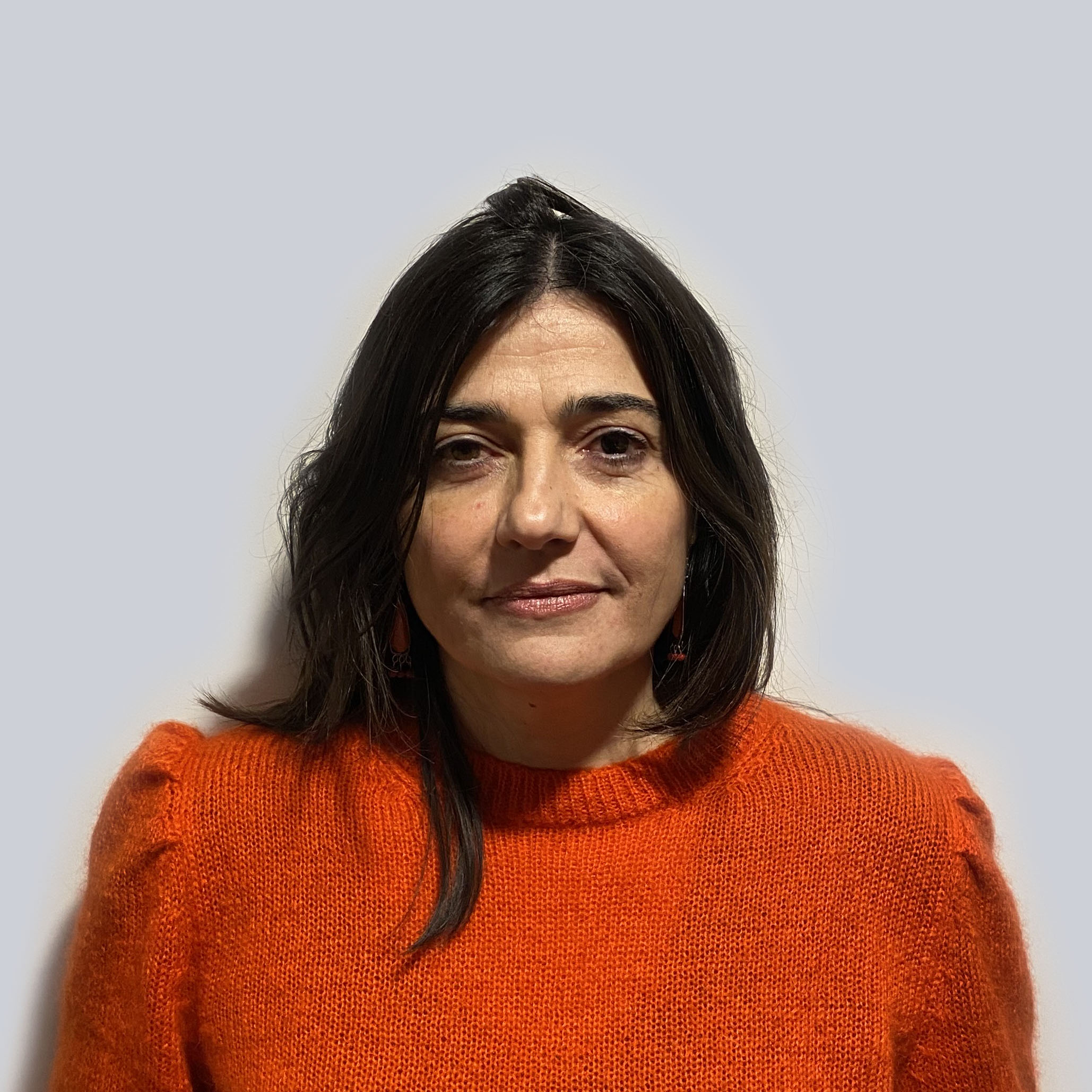 Les élus – L’ile Saint Denis